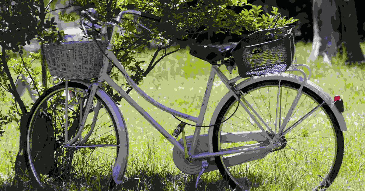 26 in bike for what height? [Super Overview-2025]