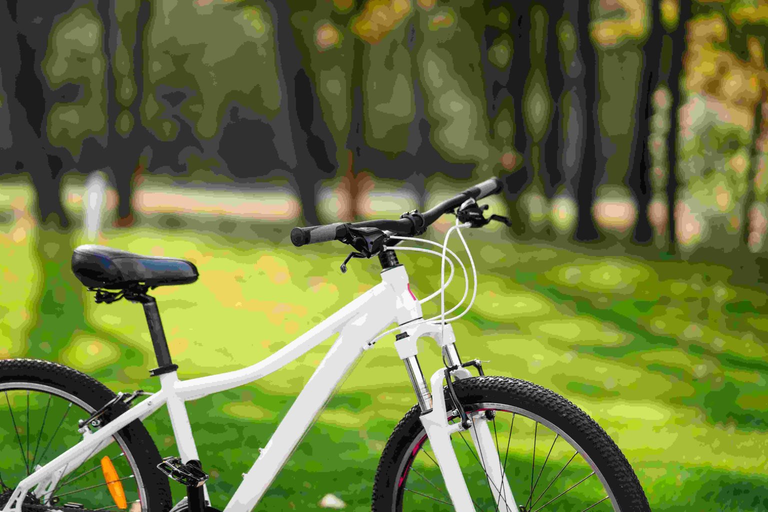 How Much Does A Bicycle Weigh? A Comprehensive Guide